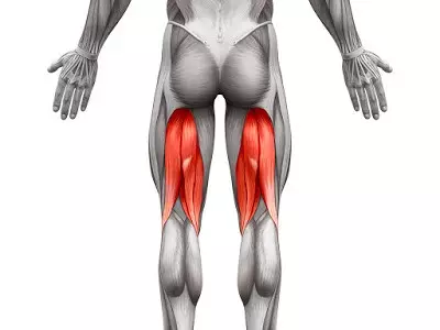 Nhazi na ọnọdụ nke akwara hamstring