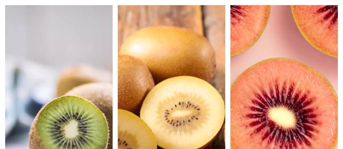 O kiwi en todas as súas versións: verde, amarelo e vermello. Aprende como se diferencian máis aló da cor