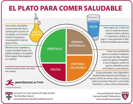 Harvard Healthy Plate