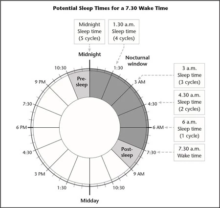 cycles de sommeil