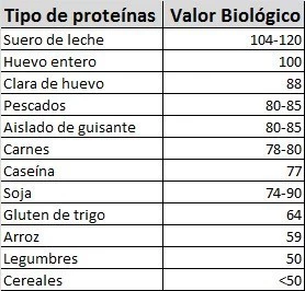 proteiner med biologisk værdi