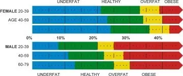 All about body mass index and % fat