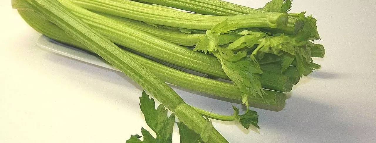 Celery: ملڪيت، فائدا ۽ باورچی خانه ۾ ان جو استعمال