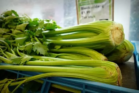 Celery 1521976 1280