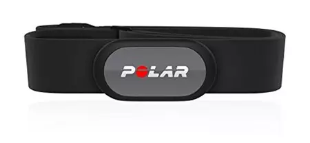 Polar H9