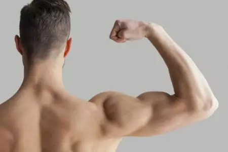 bíceps