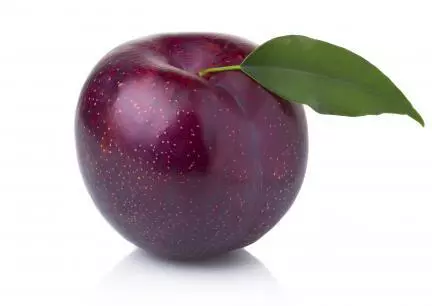 buah plum