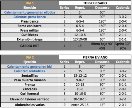 torso-leoto1