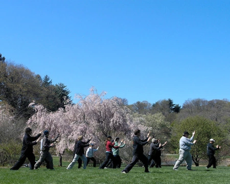 太極拳