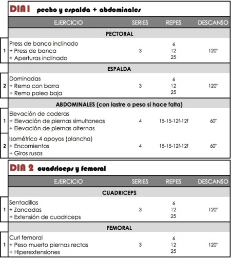 Vitonic Definice 2.0: týden 9 a 10: Poliquin triseries (XIV)