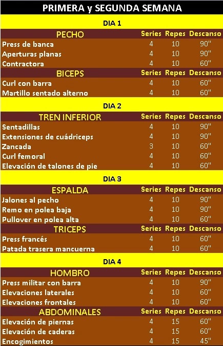 O teu primeiro ano de pesas: 4º mes (IV)