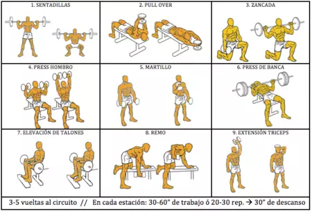 Circuit_d_força