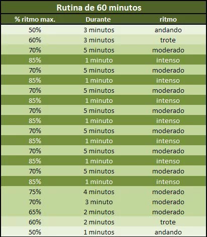 Cardiovascular, Exercicio, enerxía, queimar graxa, frecuencia cardíaca, carreira 20490_2