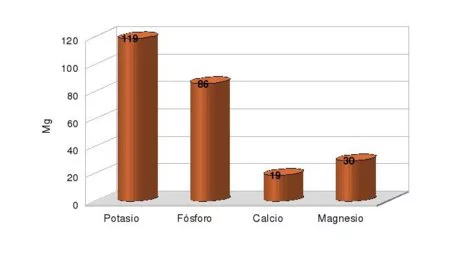 mikronutrients