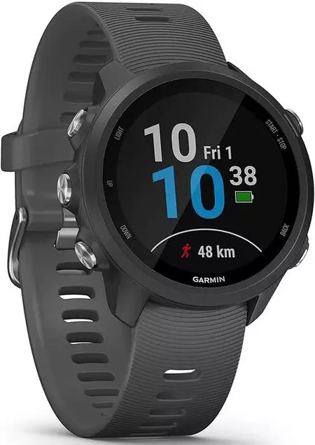 Jam pintar Garmin Forerunner 245