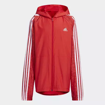 jaket adidas