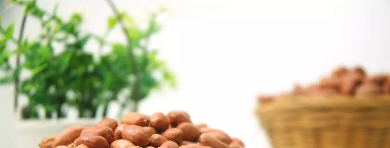 Peanuts: properties, benefits and how to use it in the kitchen