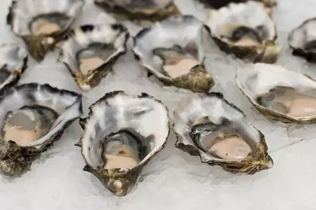 Oysters 2220607 1280