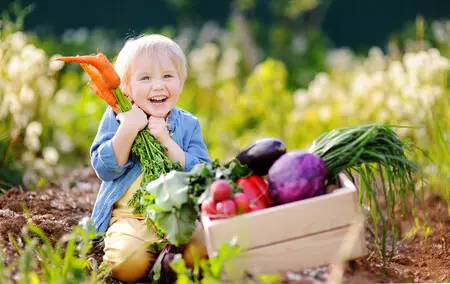 Boy picking fruit and vegetables