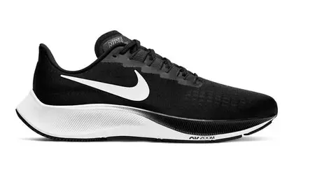 Air Zoom Pegasus 37