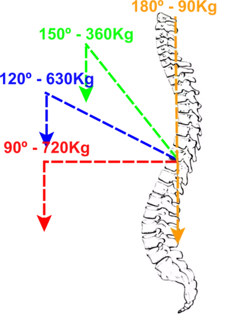 abdominals-crunches-back-column