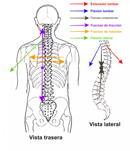 abdominals-crunches-pada-iwe