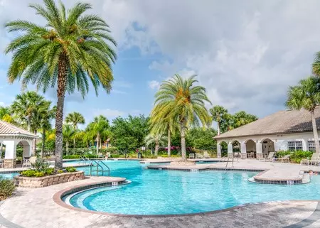 Kolam Renang Palm Trees Paradise Poolside 261105