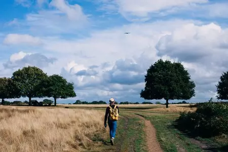 Personne en sac à dos jaune et noir marchant sur l'herbe verte 211047 1