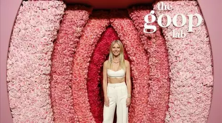 Gwyneth Paltrow Wears Her Eccentricities Netflix 1579792708281