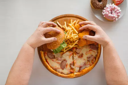 Essen-Sexualleben-Fettleibigkeit