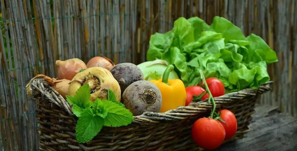 Пет порции овошје и зеленчук дневно: со овие менија ги покривате