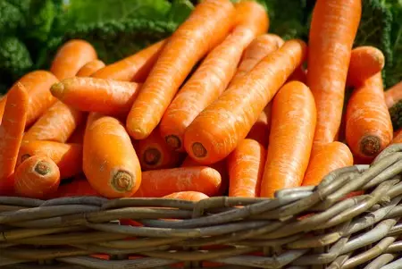 Basket Carrots Close Up 37641
