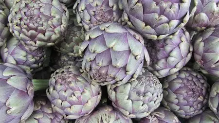 Artichoke 267974 1280