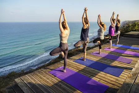 tree-yoga-runners