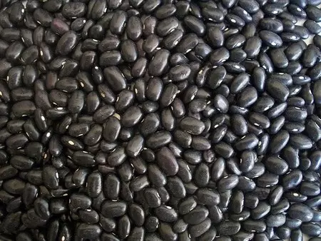 Black Beans Jpg