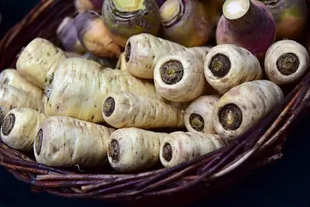 Parsnips 3860993 1280