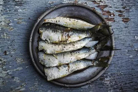 Sardines 1489630 1280 2