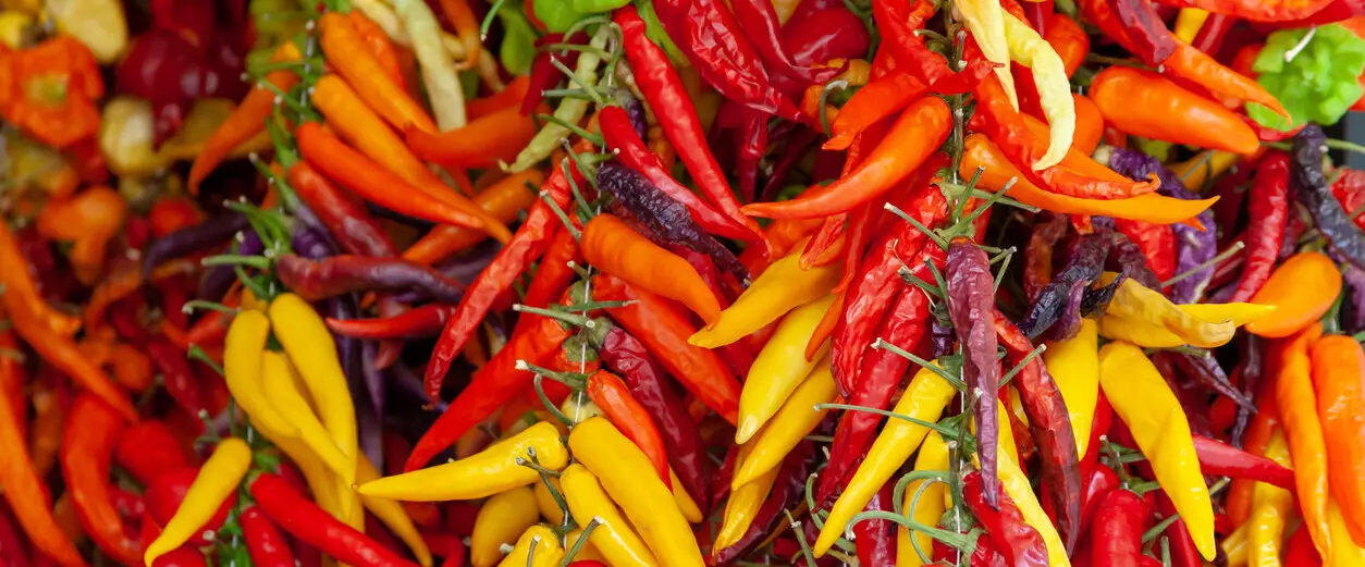 Chili, paprika's, cayennepeper: kinne dizze soarten iten helpe by ferlies fan lichemsfet?