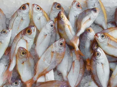 માછલી માછલી બજાર પકડો 229789 2