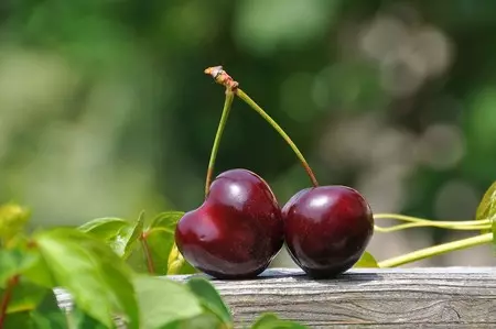 Maliwanag na Cherries Close Up 162689