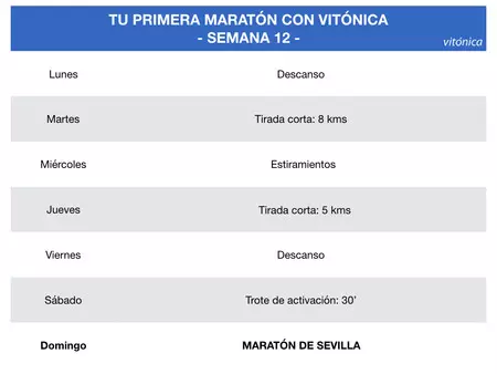 vitonica-marathon-ọsẹ12