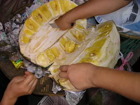 Artocarpus Heterophyllus Fruit Laos