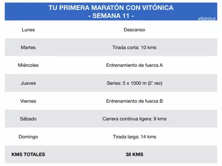 vitonica-marathon-iveki11