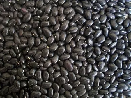 Black Beans 14522 640