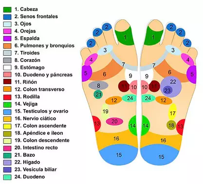 Reflexology-zone-ibirenge