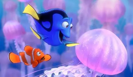 Marlin Dory Nemo meduza balığını tapır 130111