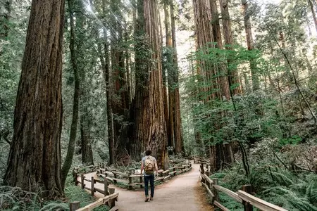 passeggiata-foresta-vacanza