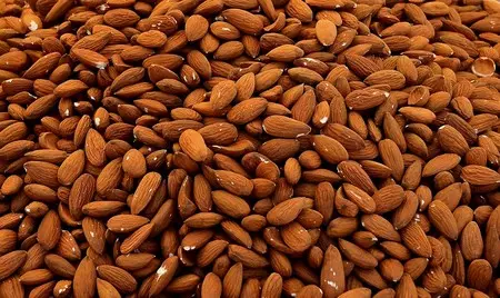 Almonds 1571810 1280