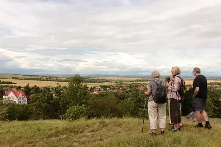 seniori-vychádzka-pole