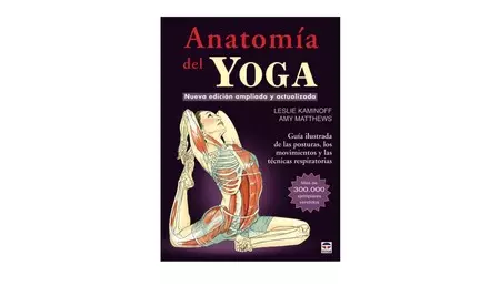 anatomie-yoga